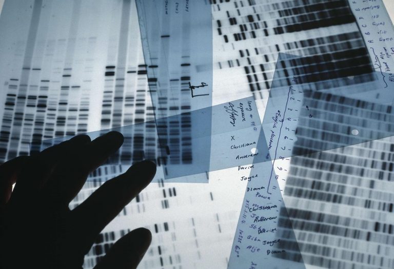 What is Forensic DNA Testing? DNA History & First used evidence