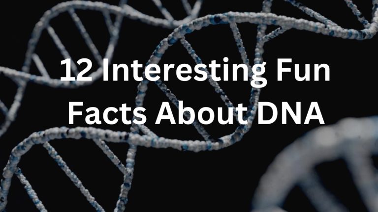 Interesting Fun Facts about DNA - Updated