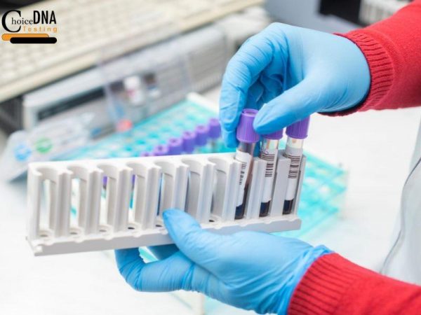 Court-Admissible DNA Testing Services - Choice DNA