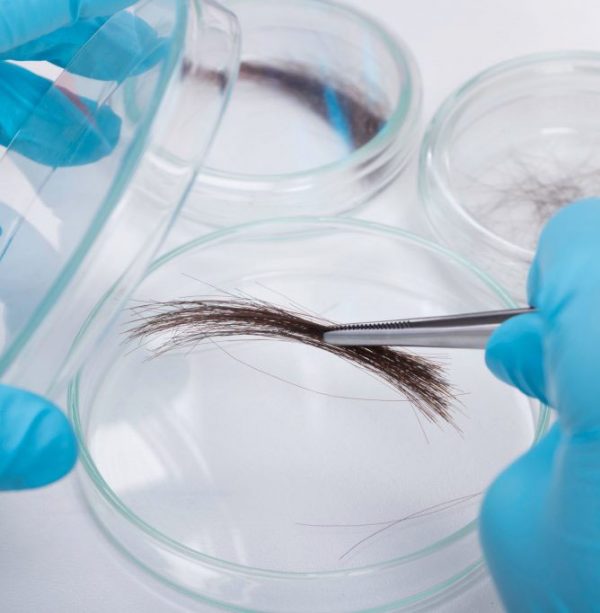 Forensic DNA Testing | Private Forensic Test Lab - Choice DNA