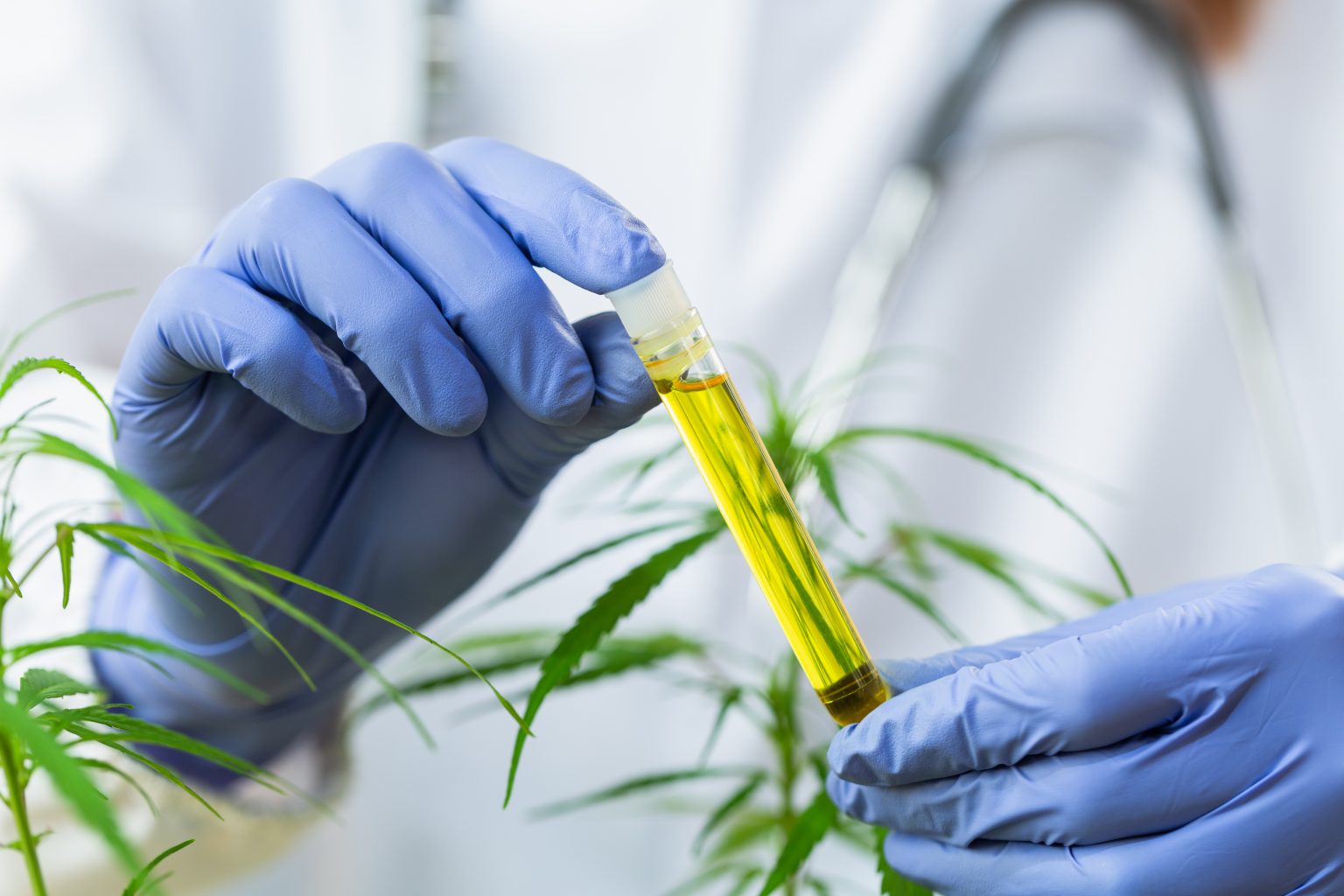 Best DNA Testing Services - Discounted & Accurate Results - Choice DNA