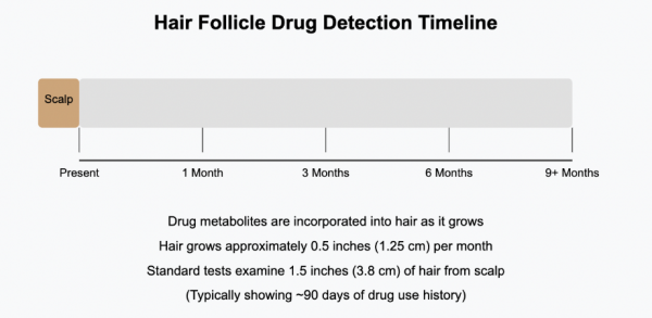 How to Pass a Hair Follicle Drug Test - Choice DNA