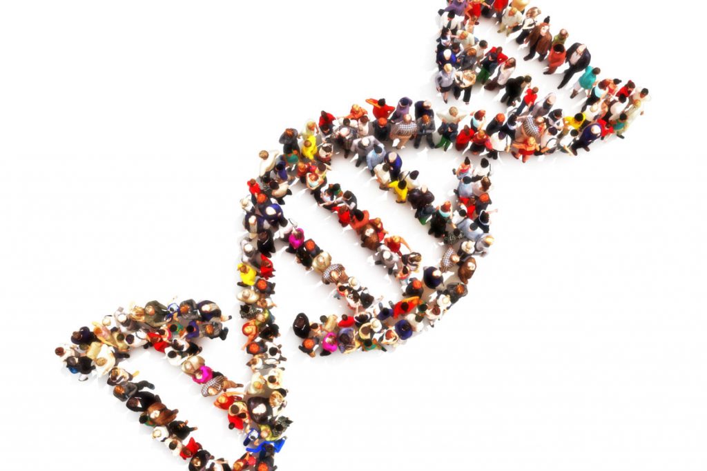 DNA Comparison - Choice DNA