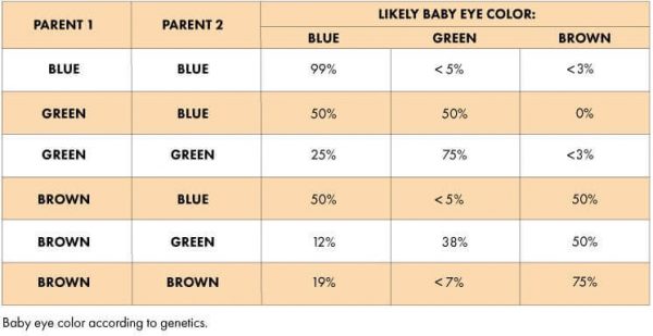 Eye Color Genes - Choice DNA
