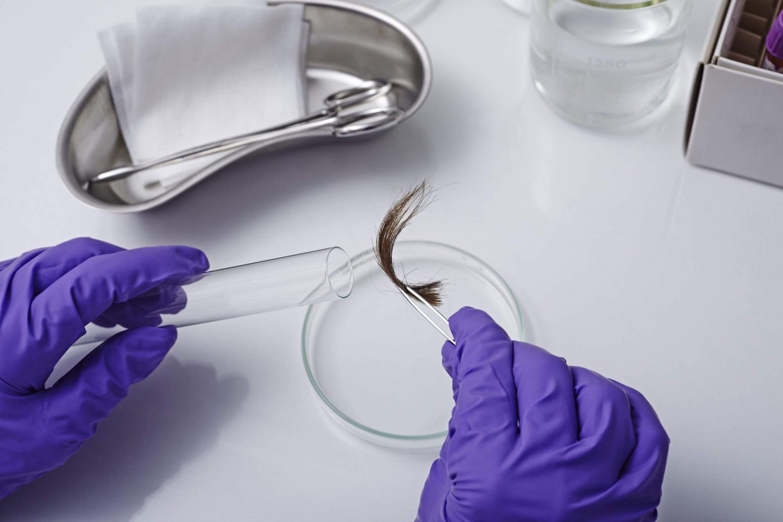 What is a hair DNA test, and why should you know about it? - Choice DNA