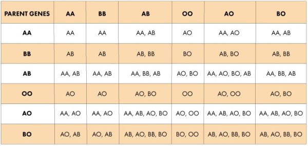 Blood Type Compatibility & Genetics - Choice DNA